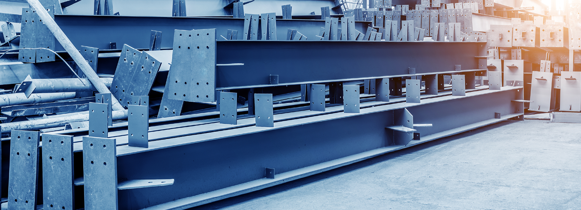 Inicio - Steel Projects